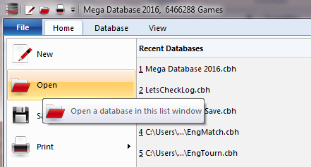 Database window